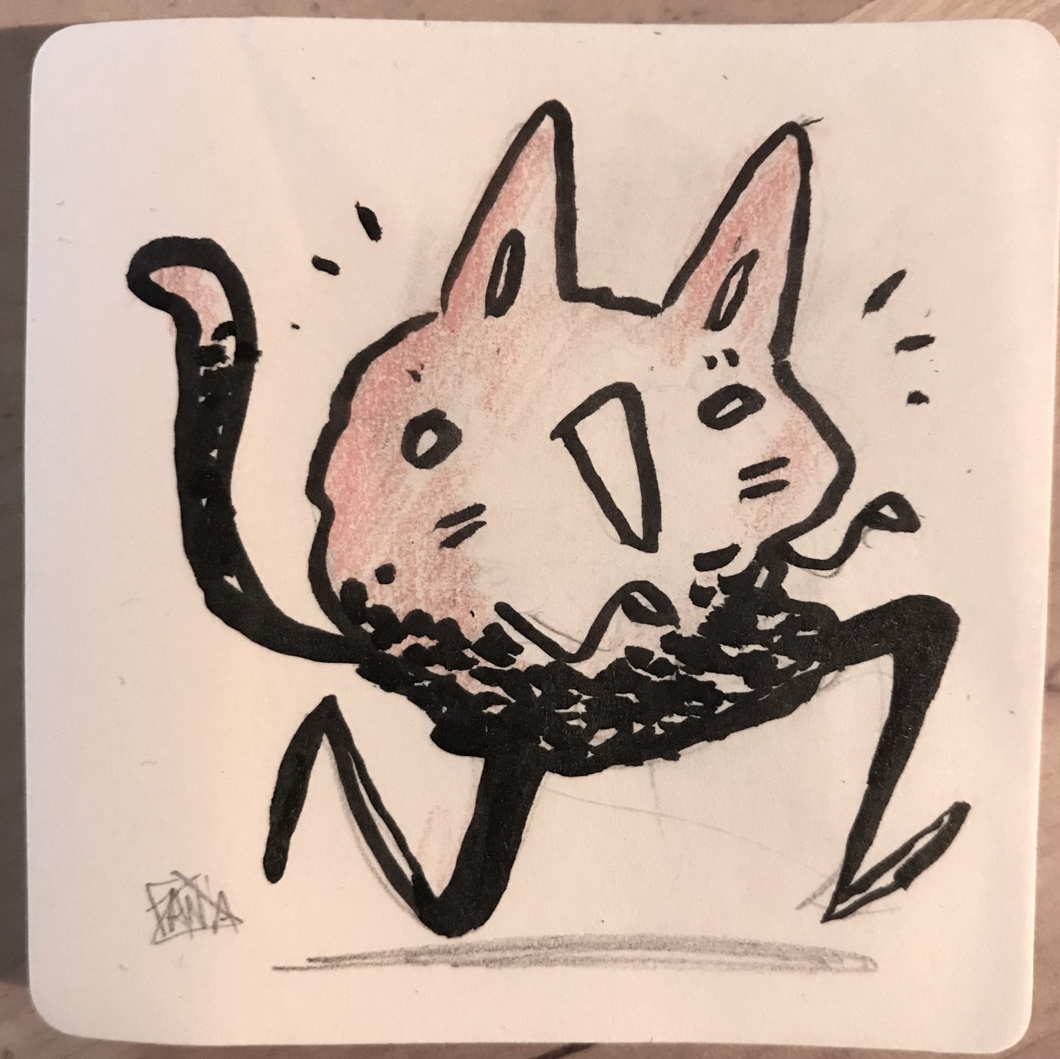 FANIA KATZ - COMIC-BLOG - SIEBEN AUF EINEN STRICH